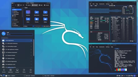What is Kali Linux?
