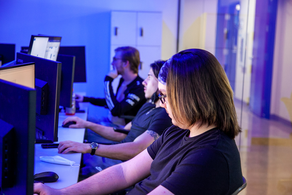 Information Technology Careers and Outlook - 2024 Guide