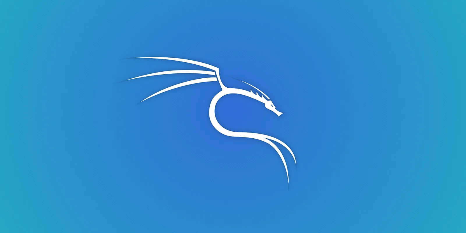 What is Kali Linux?